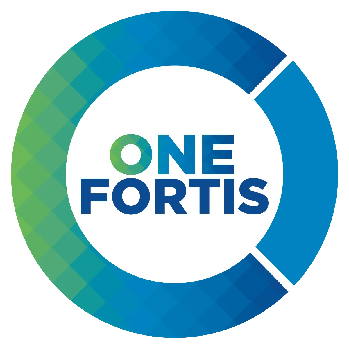About Us | Fortis Solutions Group’s Mission, People, & Values